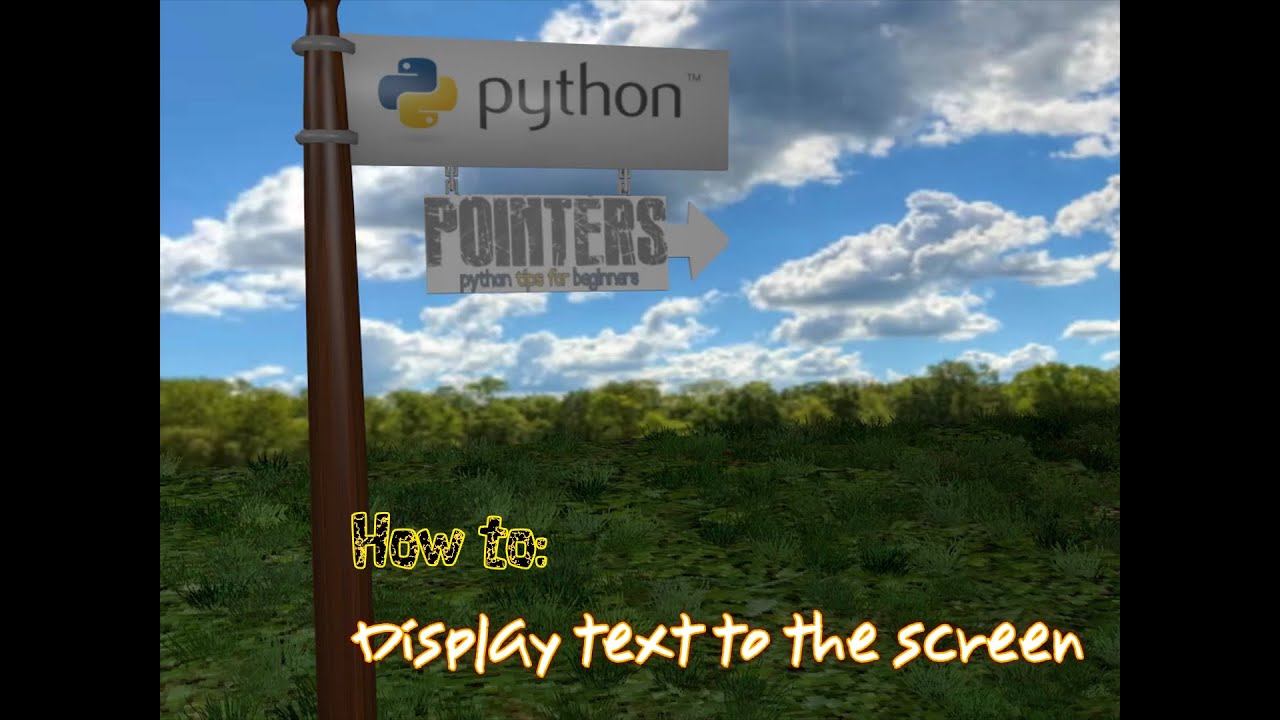 Python Pointers: how to display text to the screen