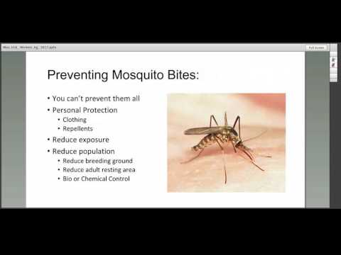 Bugs that Bite