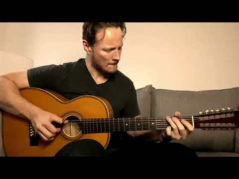 Fraulini Angelina 12 String 2008 - Original | Reverb