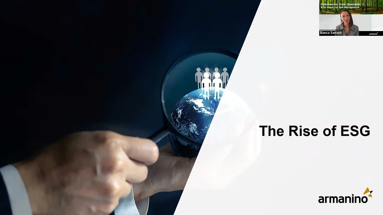 Environmental, Social, and Governance ESG and Risk Management