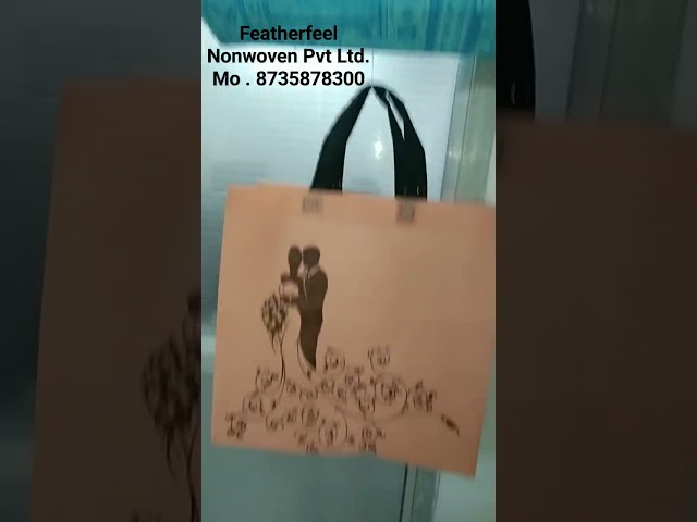 Box Bags - Loop Handle Non Woven Bag Manufacturer from Surat