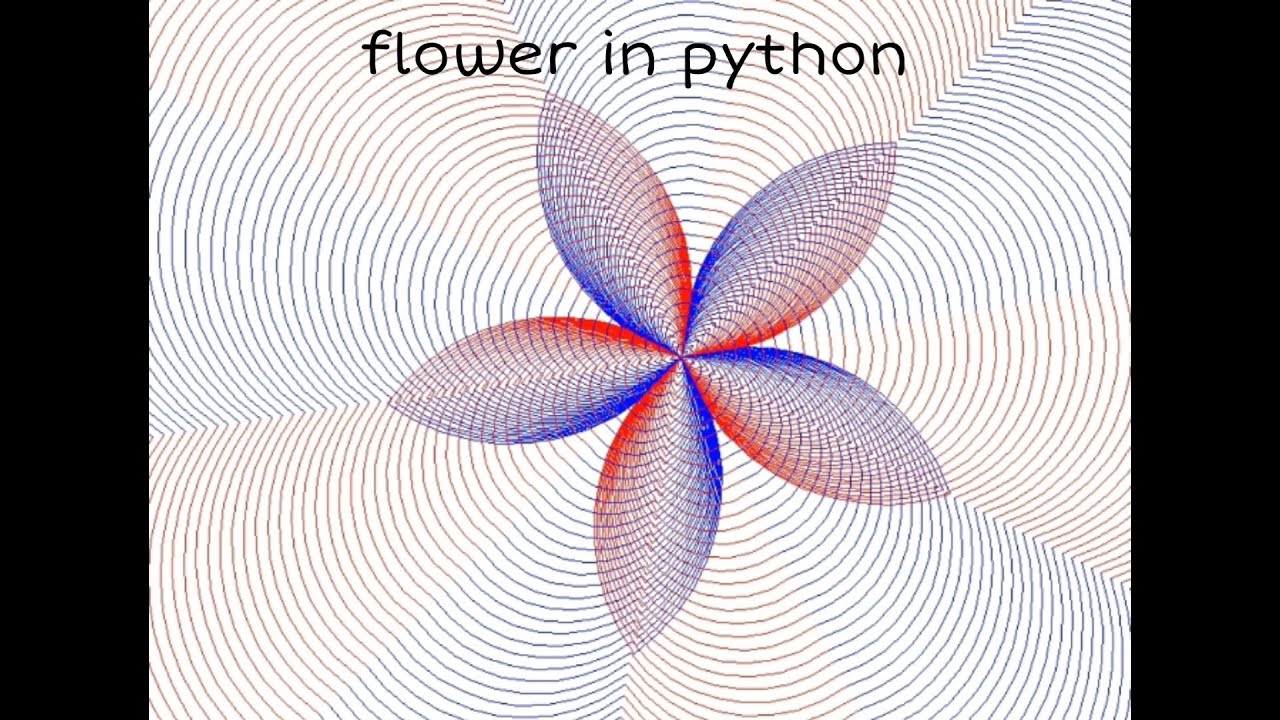 Making A Cool Flower in Python Turtle || Python Turtle Graphics ||