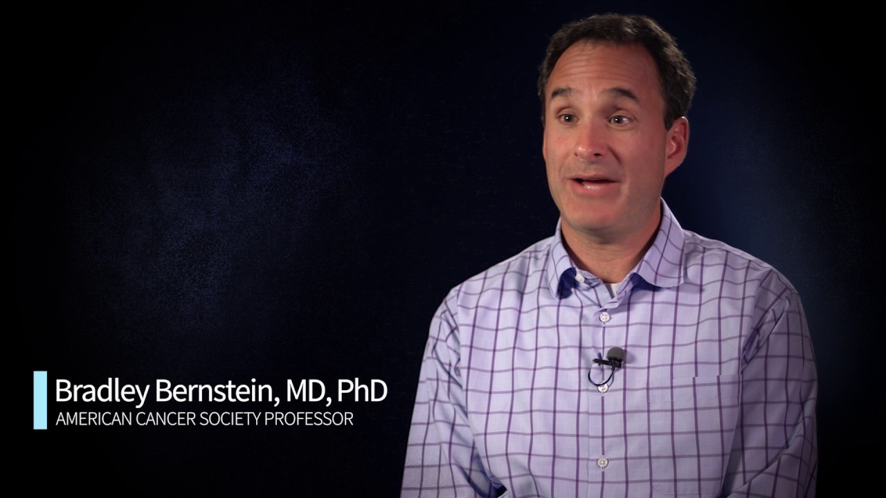 Epigenetics & Cancer: The Other Side of the Coin