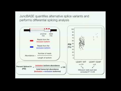 Somatic Mutations that Alter RNA Splicing in Human Cancers