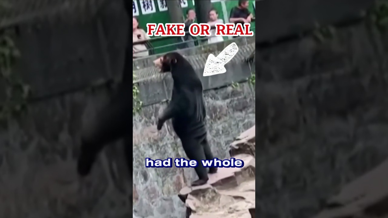 This Bear Confused The Internet