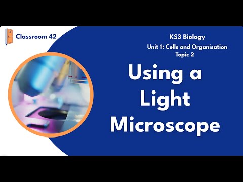 How to Observe, Interpret and Record Cell Structure Using a Light ...