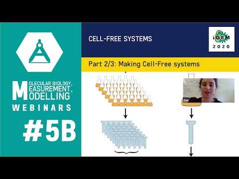 Week #5B: Cell-Free Systems  2/3: Making Cell-Free systems (making lysate, CF mix )