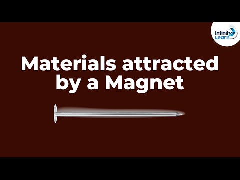 Fun with Magnets - Materials attracted by a Magnet? | Don't Memorise