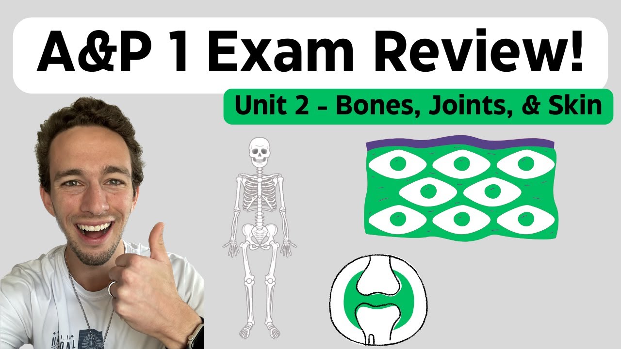 Anatomy & Physiology | Unit 2 Review | Bones, Joints, & Skin (Integument)
