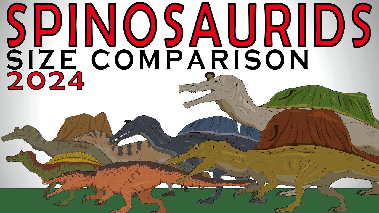 Dinosaurs Size Comparison: Spinosaurids I Extinct Deadly Animals