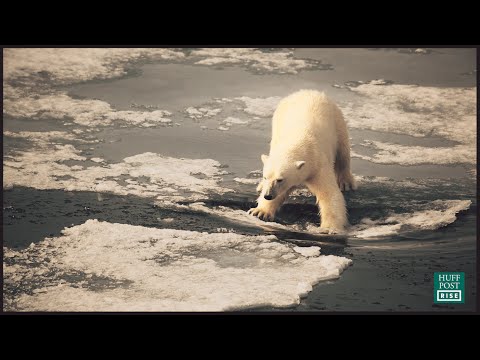 The Next President Could Determine The Future Of Life On Earth