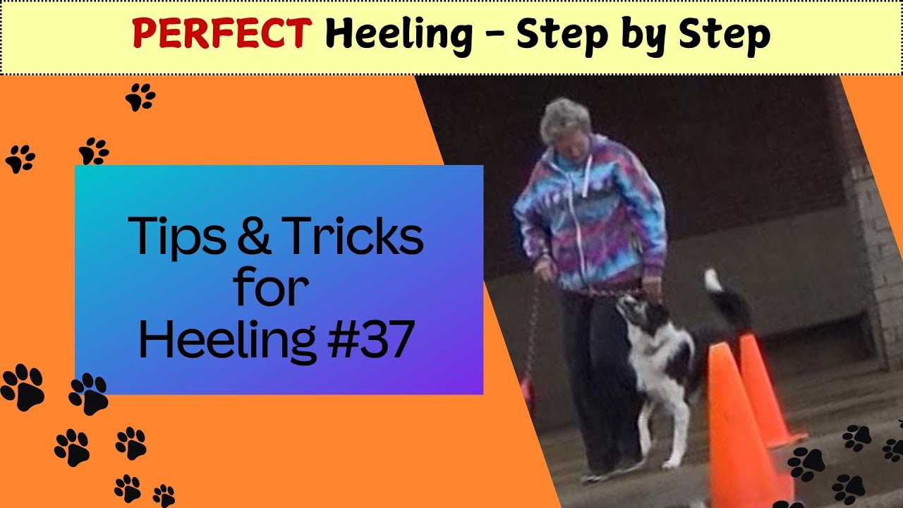 Heeling Tips & Tricks #37 - Left TURN BOXES - Teaching & Building ...