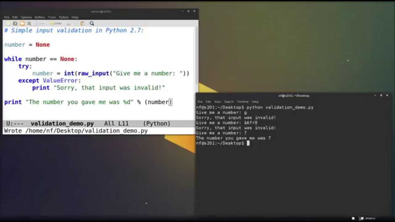 Simple Input Validation in Python 2.7