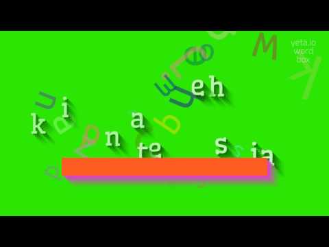 HOW TO SAY KINAESTHESIA? #kinaesthesia