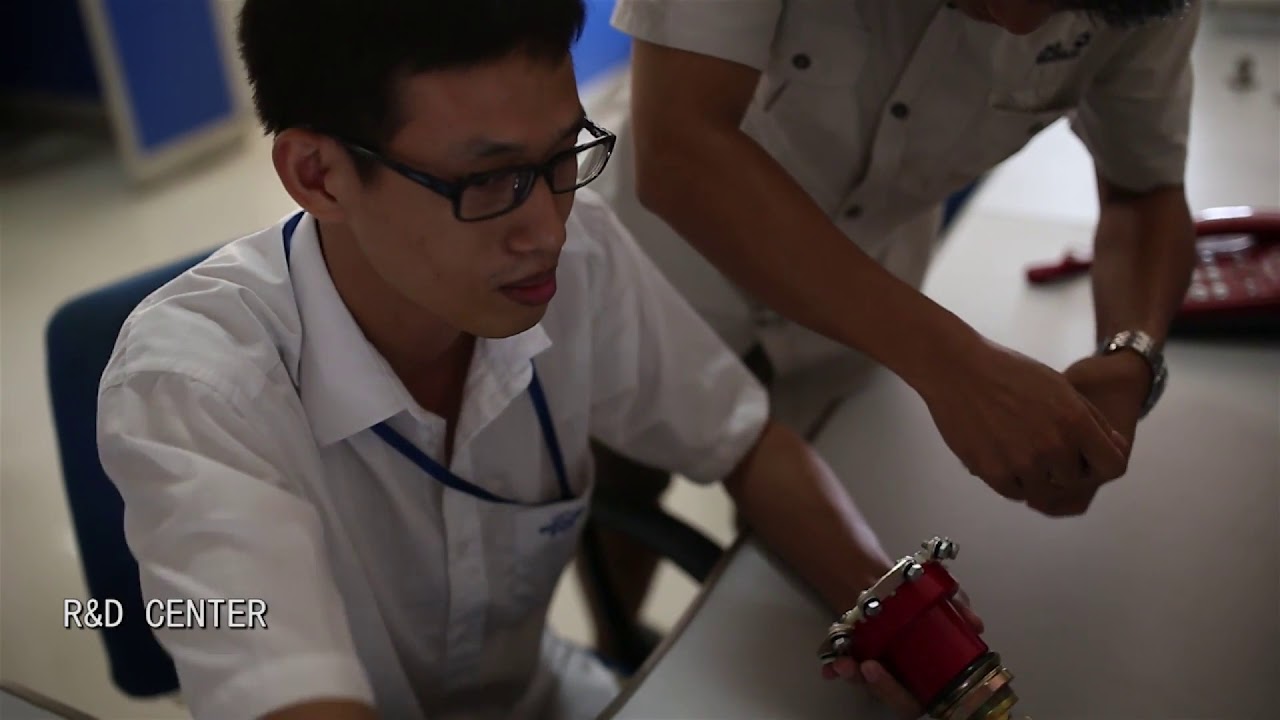 distribution transformer expert-EAGLERISE manufacture from China