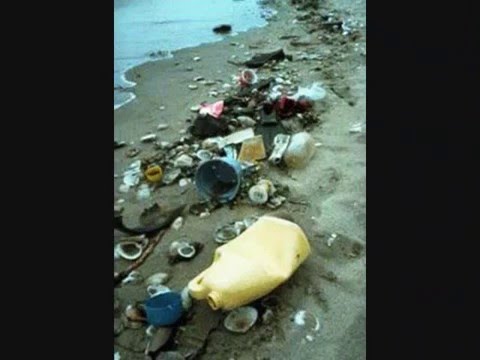 The effect we have on our environment!