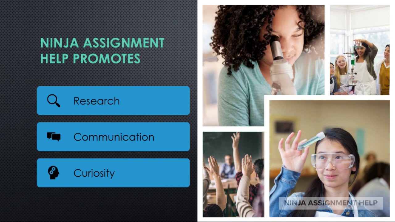 Database Assignment Help, Database Homework Help, Do My Database Homework (100 % Assured Help)