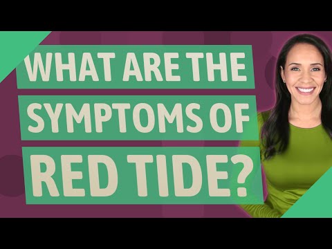 What are the symptoms of red tide?