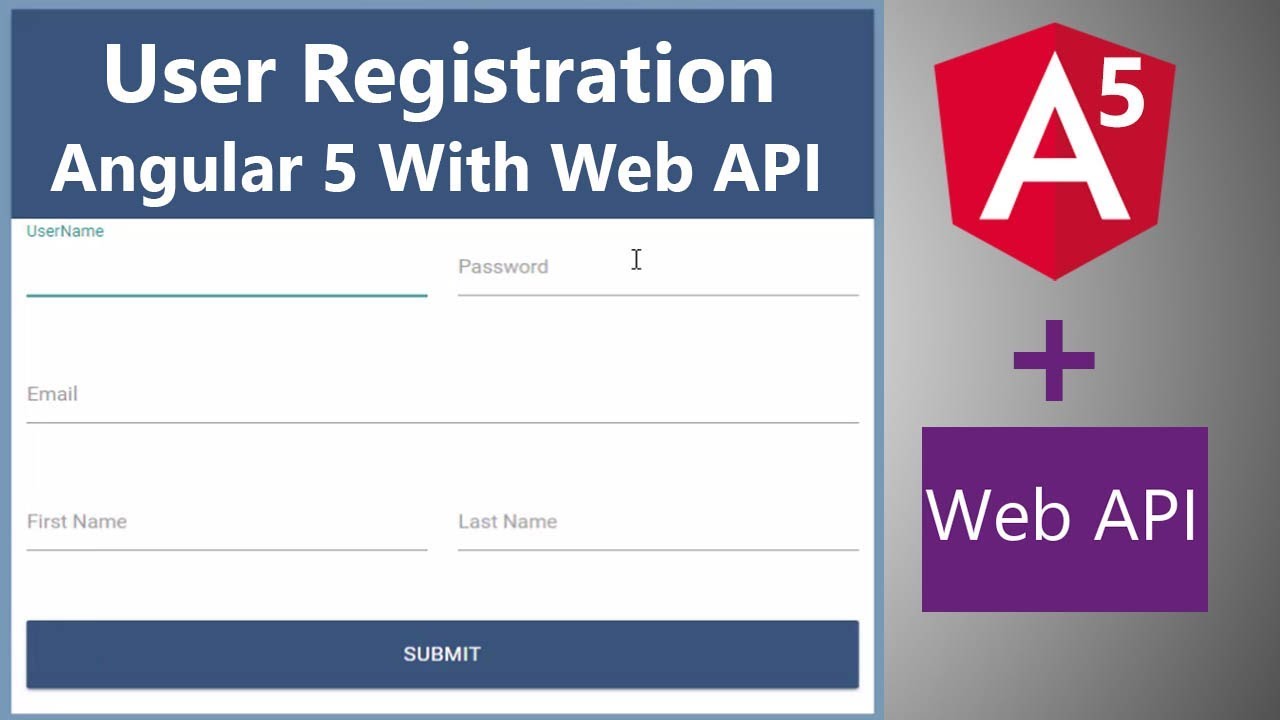 Angular 5 User Registration With Web API