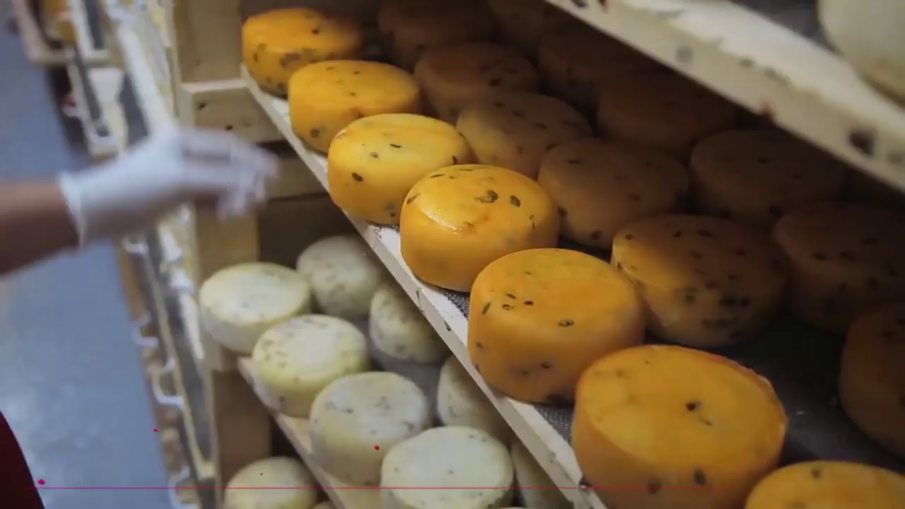 Challenges and Best Practices for Frozen Food and Cold Storage Warehousing