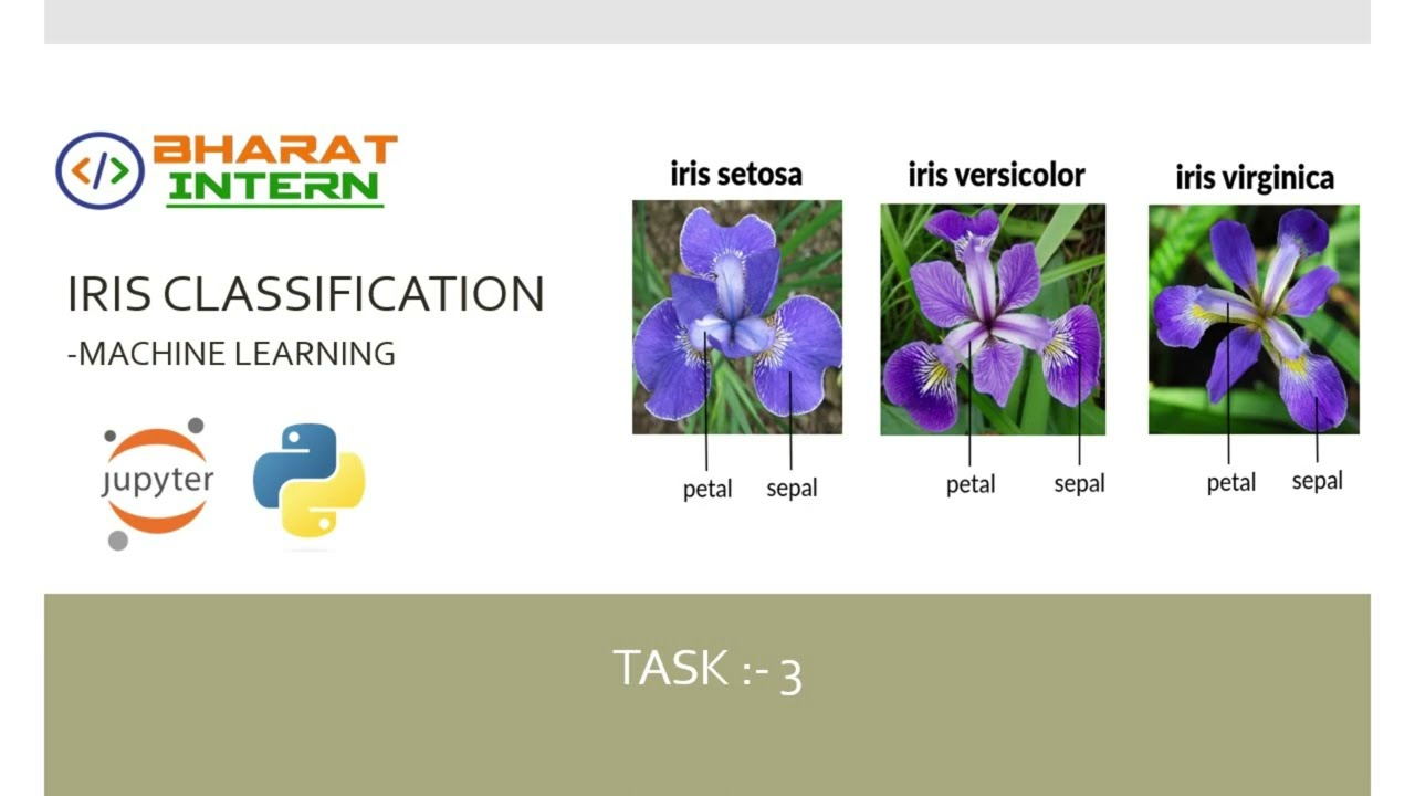 Iris Classification: Machine Learning | scikit-learn & TensorFlow | Bharat Intern Internship Project