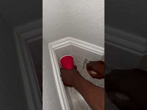 Mom tells stranger to get lizard out of house and this happens #shorts
