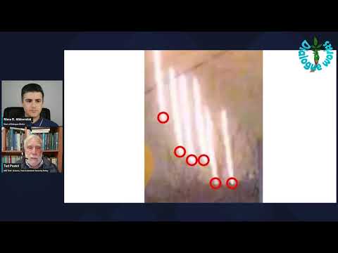 Prof. Ted Postol Assessing Russian Attack on Ukraine by Hypersonic ...