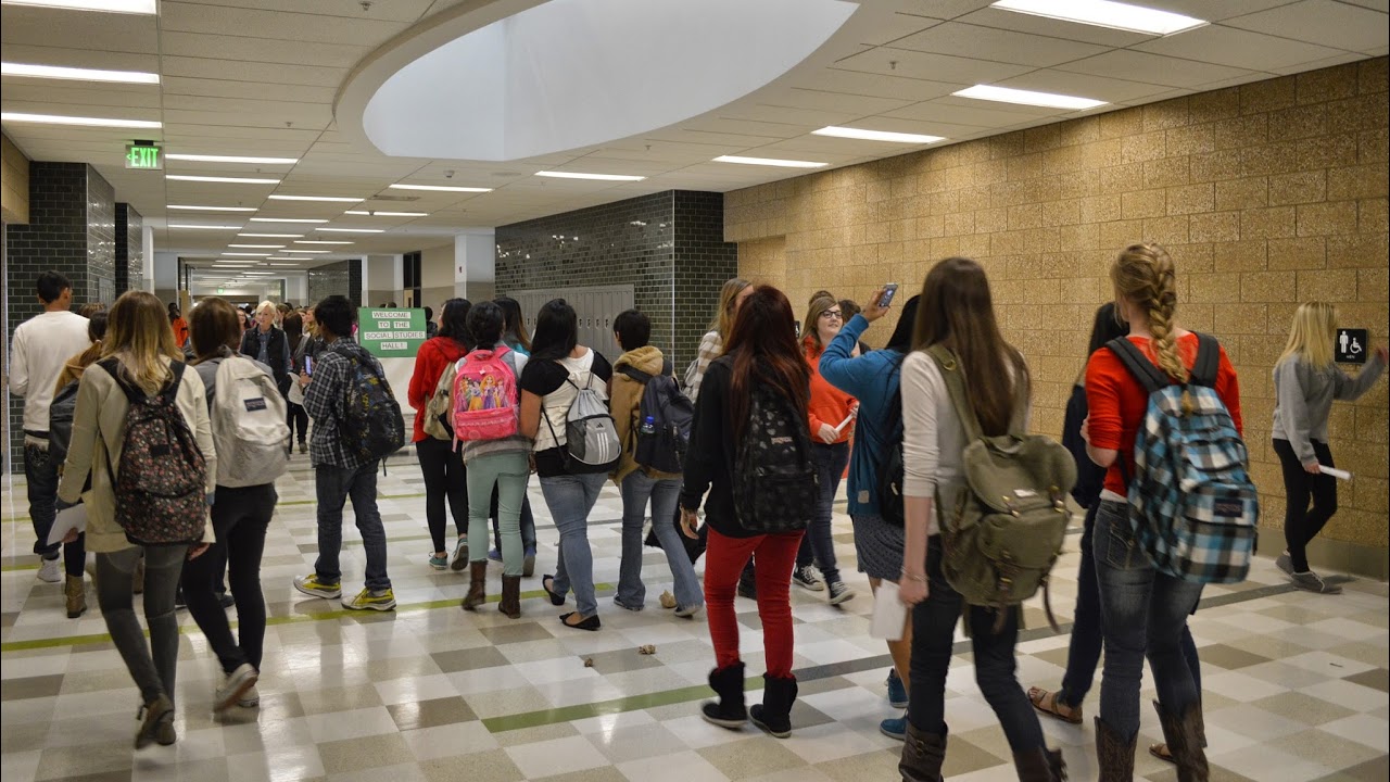 Board Meeting Live Stream - January 2024