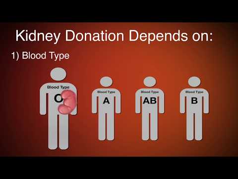 Steps to Find a Compatible Kidney Donor in India