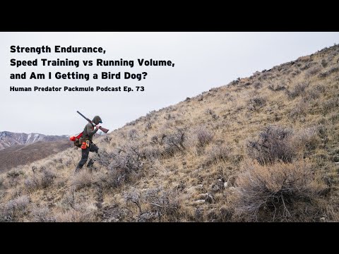 Human Predator Packmule Podcast Ep. 73 | Strength Endurance, Speed Training vs Running Volume