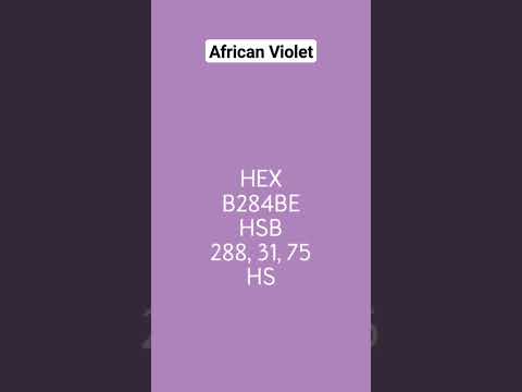HTML color code African Violet | HEX Codes #violet #colors #html