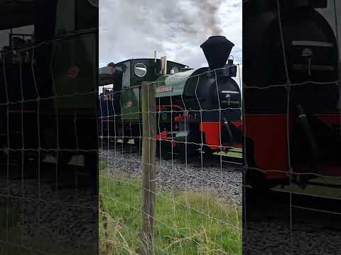 Whipsnade zoo steam