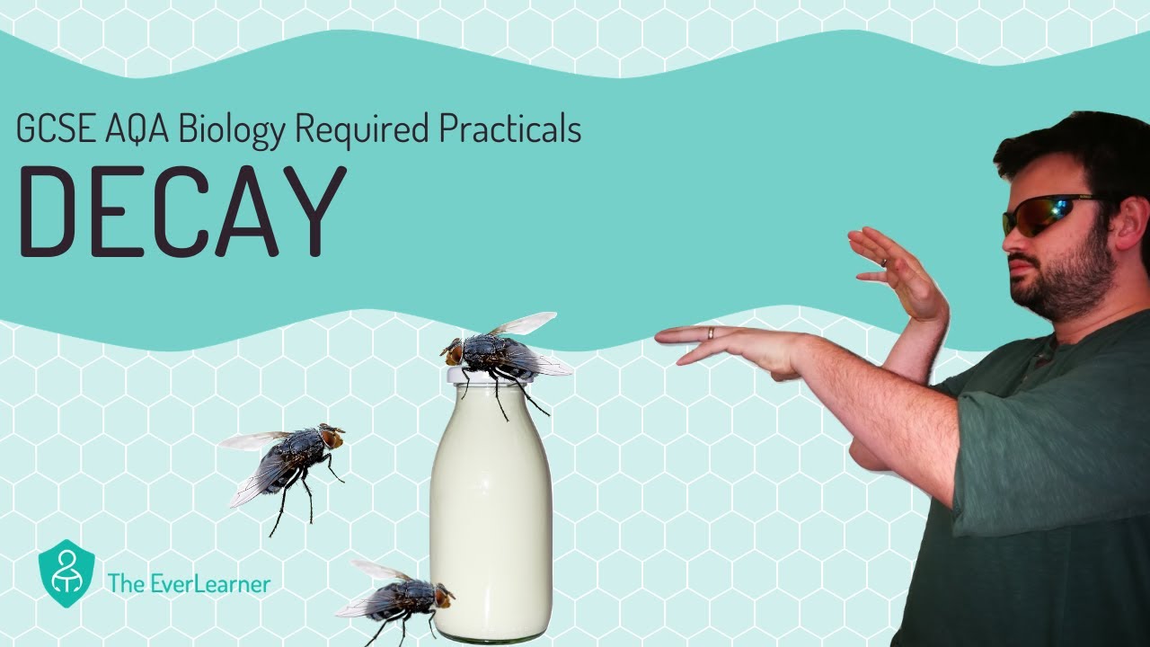 AQA GCSE Biology (9-1): Required Practical - Decay