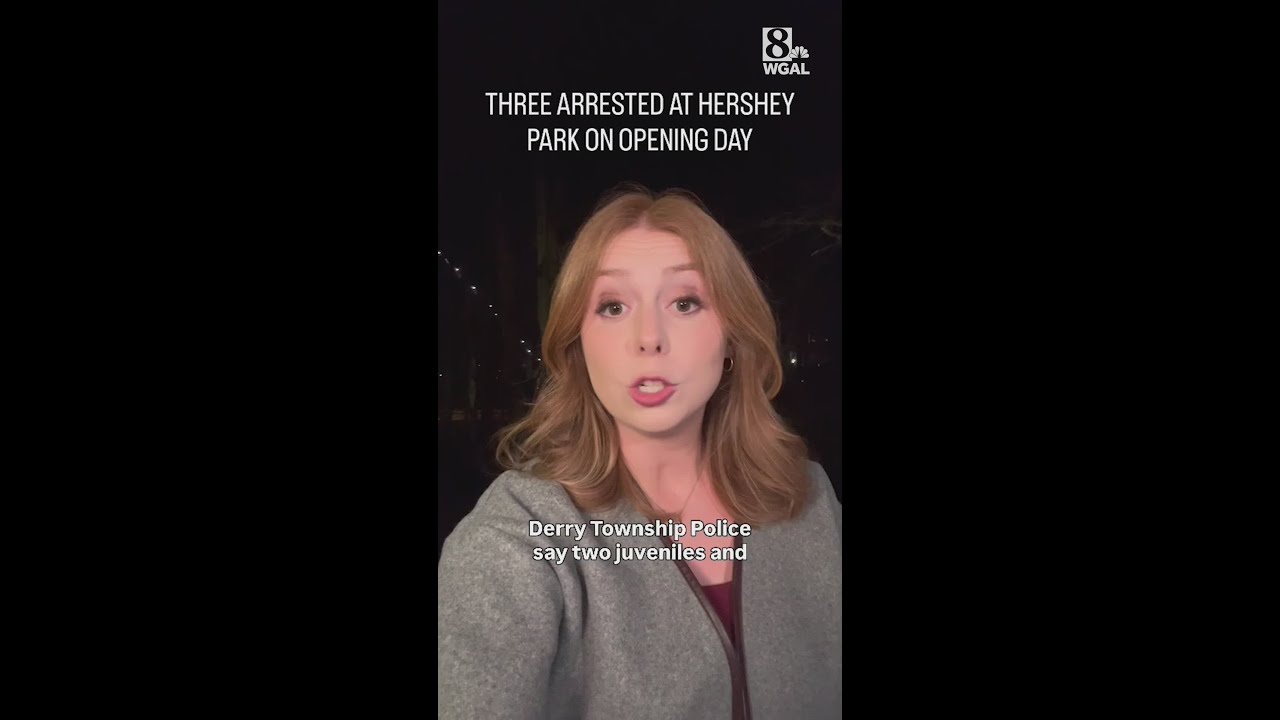 Multiple fights break out at Hersheypark