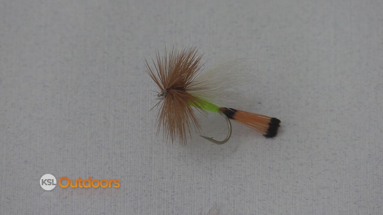 Fish Tech Fishing Tip: Attractor Patterns