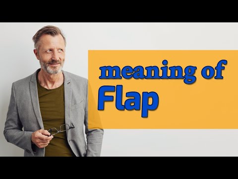 Flap | Definition of flap