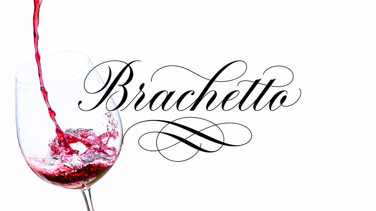 Brachetto - A Calligraphy Script Font Introduction