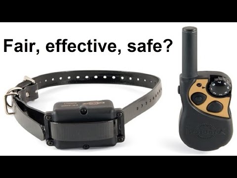 Shock Collar Training; Fair, Effective, Safe? - Dog Science Explained