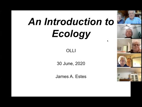 A Survey of Ecology 4 2020