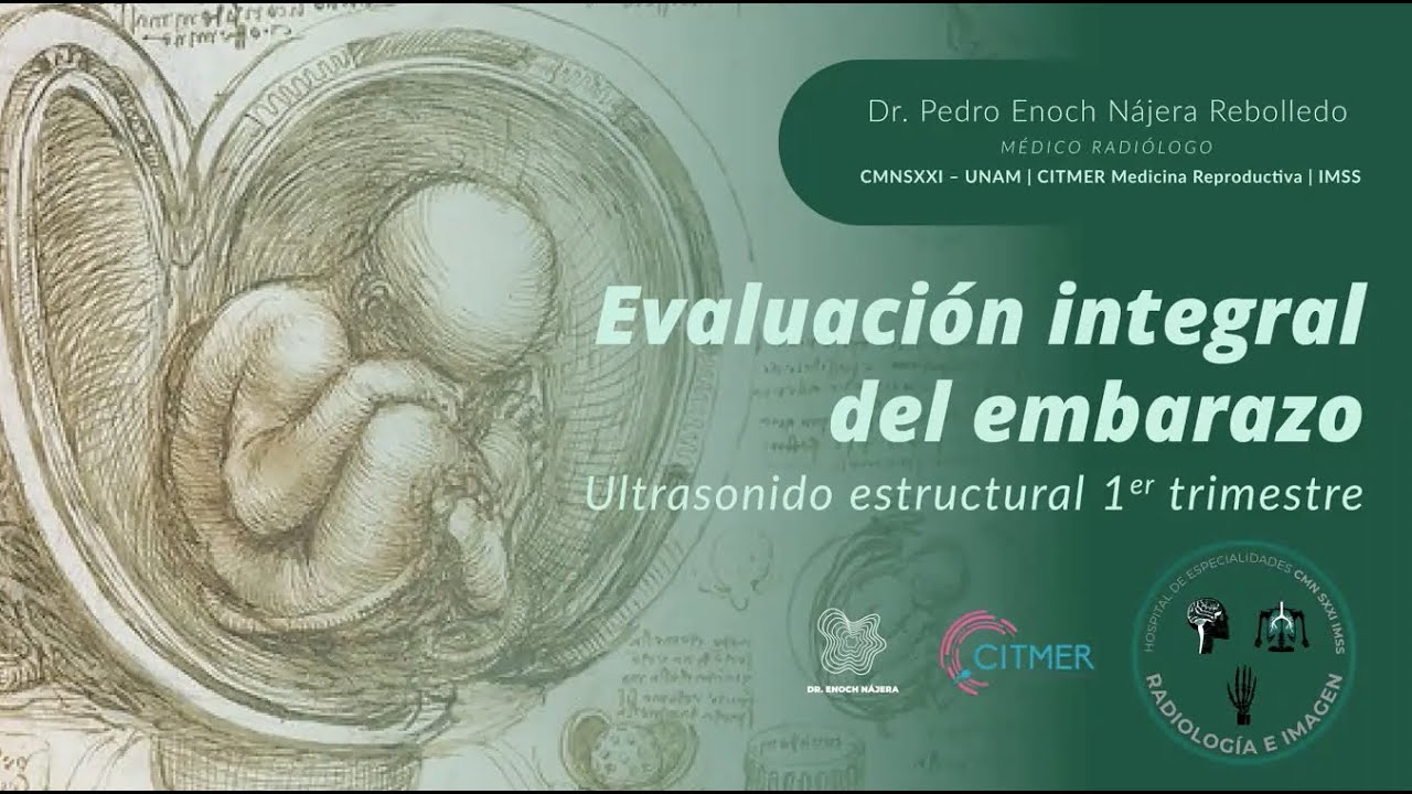 1 - 12 Evaluación del primer trimestre del embarazo | Dr. Najera
