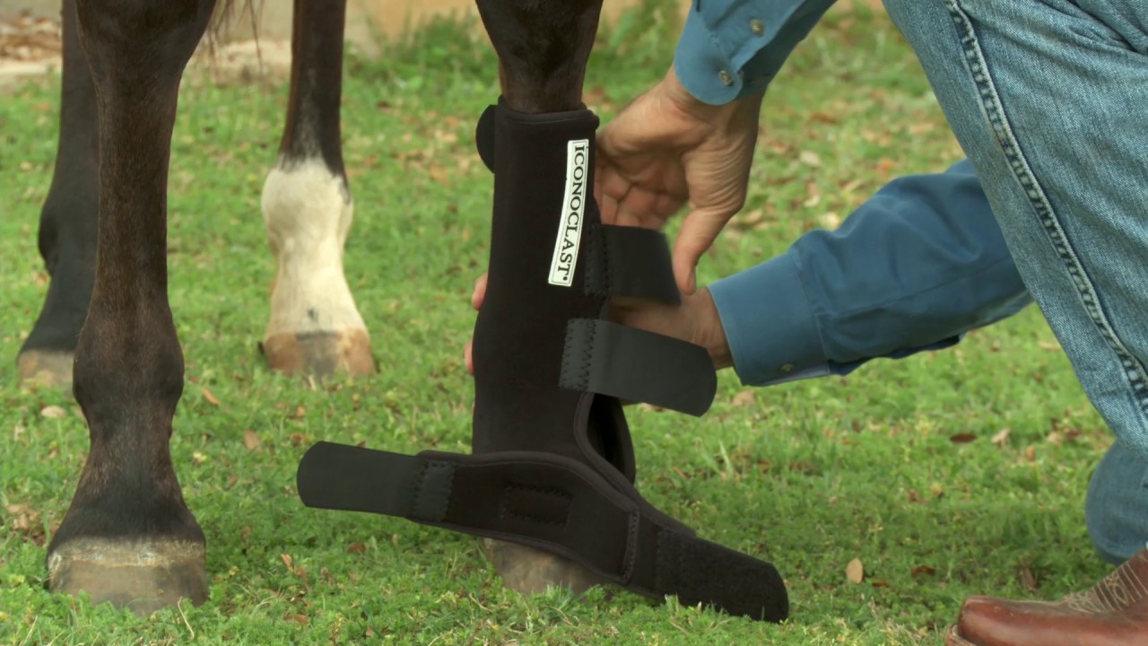 Iconoclast Rehab Boot Application