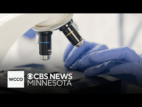 Judge pauses cuts to medical research funding, and more headlines