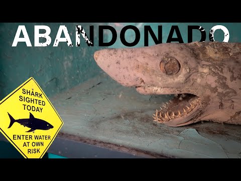 LA TRAGEDIA DEL MUSEO DEL CALAMAR GIGANTE | URBEX |