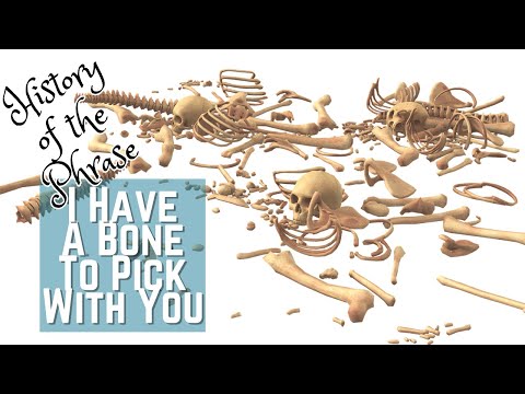 I Have a Bone to Pick with You -Idioms | History of the Phrase with Meanings