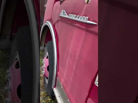Never know what you will find in Tulsa ok lol #carvideo #carlife #trucks