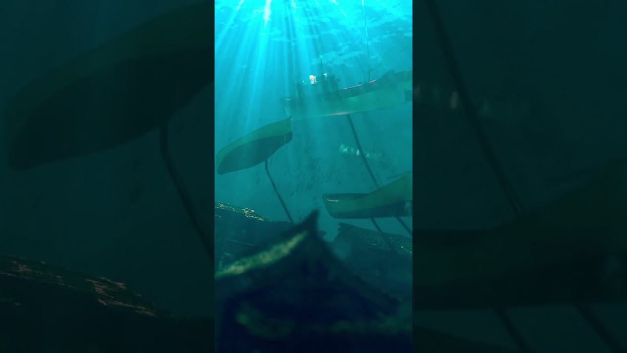 Reclaimed Vessels #30daysofrenders #blender #3Dart #3Dartist