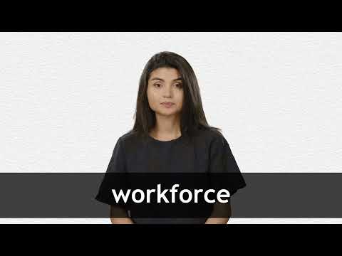 WORKFORCE definition and meaning | Collins English Dictionary