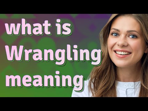 Wrangling | meaning of Wrangling