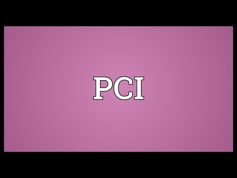 PCI Meaning
