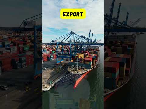 WHAT IS import & export | DEFINE IMPORT & EXPORT #shorts